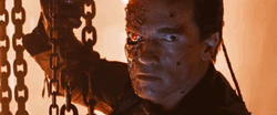 Terminator 2 Goodbye Scene GIF | GIFDB.com