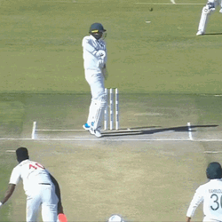 Test Crickets Meme GIF | GIFDB.com