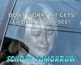 Test Day Crying Paris Hilton Meme GIF | GIFDB.com