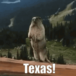 Yelling Gopher In Texas GIF | GIFDB.com