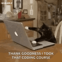 Thank Goodness I Took That Coding Course GIF | GIFDB.com