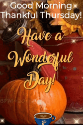 Thankful Thursday Pumpkin Goodness GIF | GIFDB.com