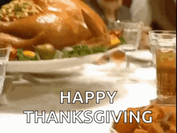 Thanksgiving Turkey GIFs | GIFDB.com