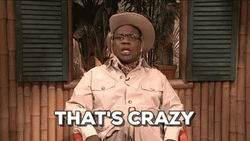 That's Crazy Brian Fellow GIF | GIFDB.com