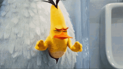 The Birds Angry Birds Chuck GIF | GIFDB.com