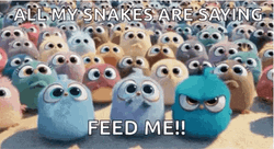 The Birds Angry Feed Me GIF | GIFDB.com