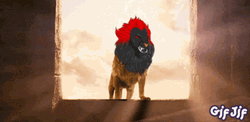The Chronicles Of Narnia Cartoon Aslan GIF | GIFDB.com
