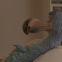 The Dodo Australia Woooow GIF | GIFDB.com