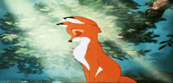 The Fox Batting Eyes GIF | GIFDB.com