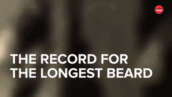 The Longest Beard GIF | GIFDB.com