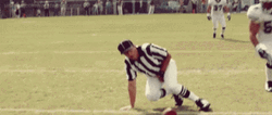 The Longest Yard Football Hitting Referee GIF | GIFDB.com