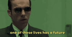 The Matrix Agent Smith Confronting Neo GIF | GIFDB.com