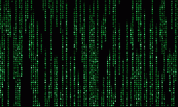The Matrix Computer Program GIF | GIFDB.com