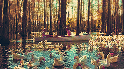 The Notebook Swan Lake Scene GIF | GIFDB.com