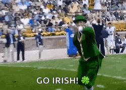The Notre Dame Go Irish GIF | GIFDB.com