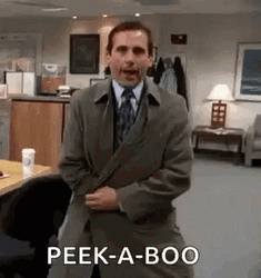 The Office Michael Scott Peek A Boo GIF | GIFDB.com