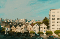 The Painted Ladies In California GIF | GIFDB.com