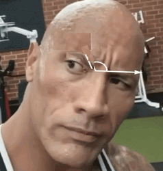 The Rock Spinning Eye Brows Meme GIF | GIFDB.com