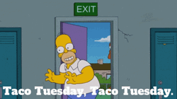 Tuesday GIFs | GIFDB.com