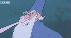 The Sword In A Stone Wizard GIF | GIFDB.com