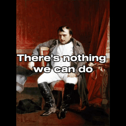 Theres Nothing We Can Do Napoleon Meme GIF | GIFDB.com