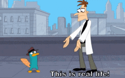 This Is Real Life Perry The Platypus GIF | GIFDB.com