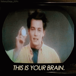 This Is Your Fried Brain GIF | GIFDB.com