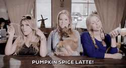 Three Ladies Saying Psl GIF | GIFDB.com