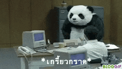 Throwing Computer By Panda Cheese Office GIF | GIFDB.com