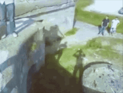 Throwing Computer Laptop In The Ground Level GIF | GIFDB.com