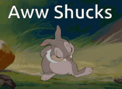 Thumper Aww Shucks GIF | GIFDB.com