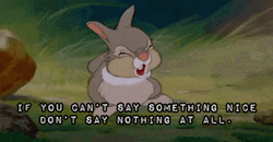 Thumper If You Can't Say Something Nice GIF | GIFDB.com