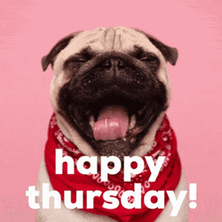 Thursday Morning GIFs | GIFDB.com