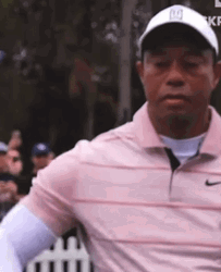 Tiger Woods Big Dawg GIF | GIFDB.com
