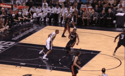 Tim Duncan Chris Bosh Flop GIF | GIFDB.com
