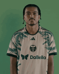 Timber Fc Fish Meme GIF | GIFDB.com