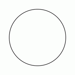 Time Is A Flat Circle Sealliner Cat GIF | GIFDB.com