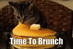 Time To Brunch GIF | GIFDB.com