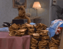 Alf Making Toast Bread GIF | GIFDB.com