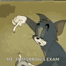 Tom For Tomorrow's Exam Meme GIF | GIFDB.com