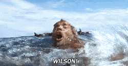 Tom Hanks Crying For Wilson GIF | GIFDB.com