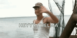 Tom Hanks Hey Thelma GIF | GIFDB.com