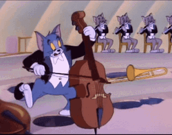 Tom Multitasking Solo Concert GIF | GIFDB.com