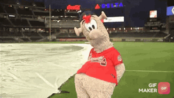 Tomahawk Chop Blooper Atlanta Braves Mascot Dancing GIF | GIFDB.com