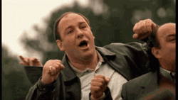 Tony Soprano Cheering GIF | GIFDB.com