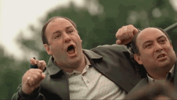 Tony Soprano 498 X 280 Gif GIF | GIFDB.com