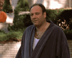 Tony Soprano GIFs | GIFDB.com