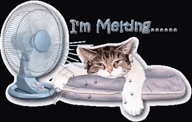 Too Hot Melting Cat GIF | GIFDB.com