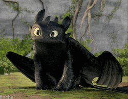 Toothless Dance Meme Curious Looking GIF | GIFDB.com