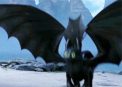Toothless Doing Courtship Dance GIF | GIFDB.com
